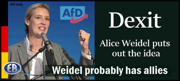 Germany should hold ‘Dexit’ vote on leaving EU, says AfD leader ...