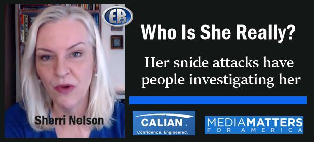 How Amazing or Trustworthy is Polly? - Europe Reloaded