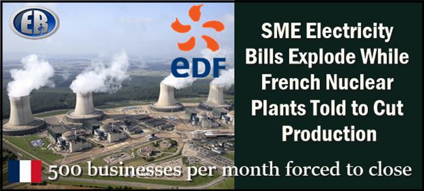 French nuclear power plants shut down for producing too much ...
