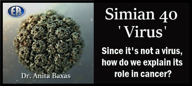 The SV40 Cancer Story Questioned – It’s not a Virus, But What’s the ...