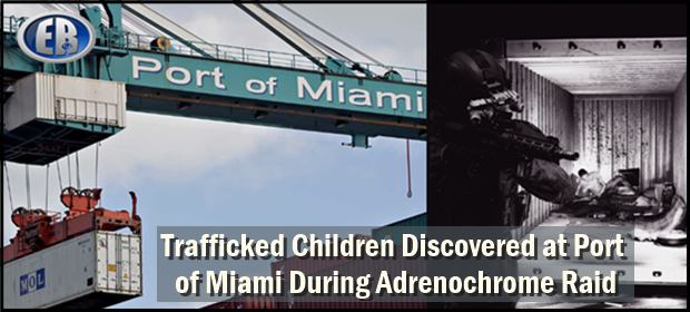 Navy SEALs Rescue Kidnapped Kids from Shipping Container in Miami ...