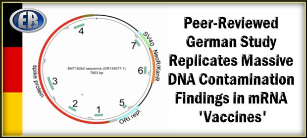 German Scientists Urge IMMEDIATE HALT after Peer-Reviewed Study of mRNA ...