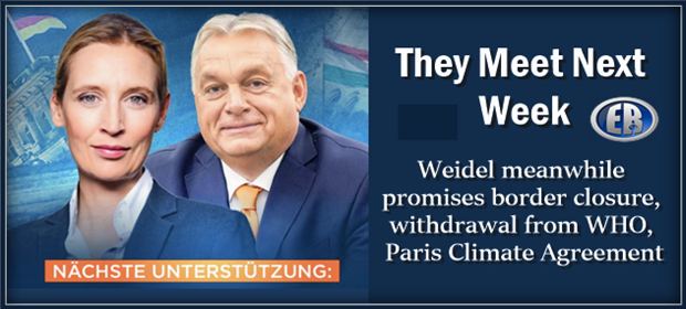 AfD leader vows to close Germany’s borders, to meet with Orban next ...