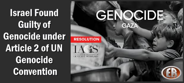 World's Largest Group Of Genocide Scholars Finds Israel Guilty - Europe ...